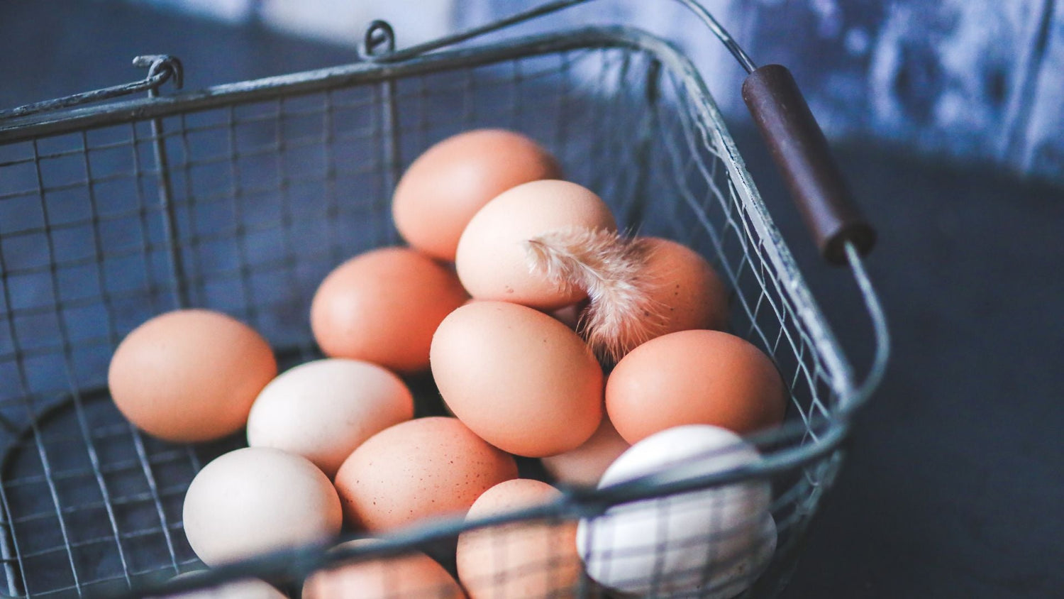 Pullet Egg Guide: What They Are & Their Benefits – Grace Harbor Farm
