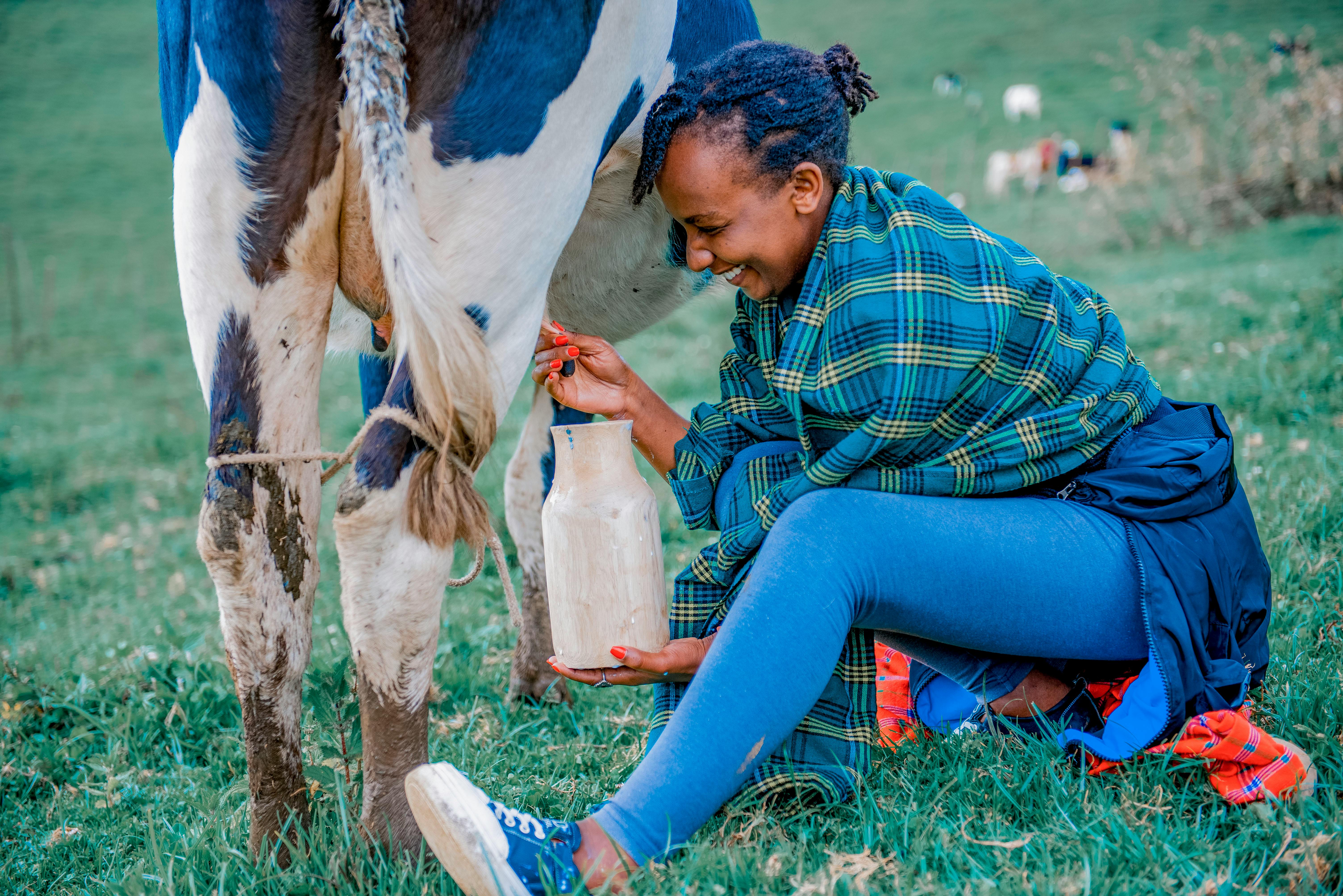 Goat Milk vs Cow Milk: Which Is Better for Your Family? – Grace Harbor Farm